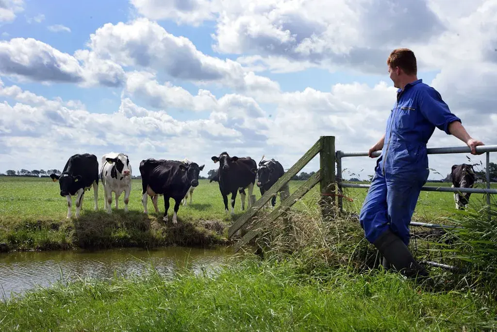 Improving animal health through data exchange with Azure Event Hub and ...